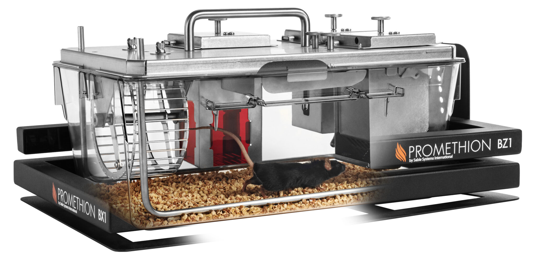 Indirect Calorimetry Systems – Alexander S. Banks